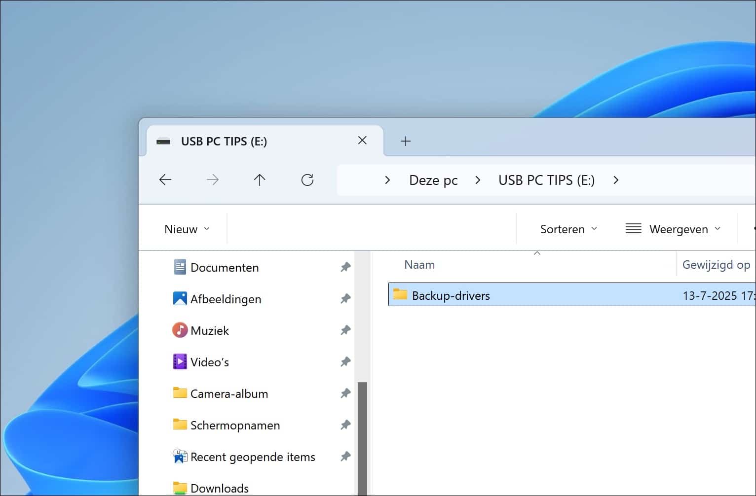 Back-up maken van Stuurprogramma's en terugzetten