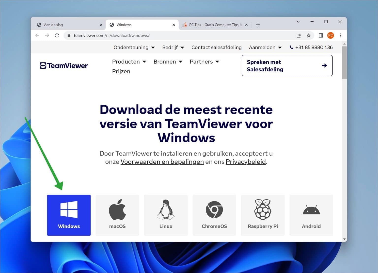 Teamviewer voor Windows 11 installeren en gebruiken