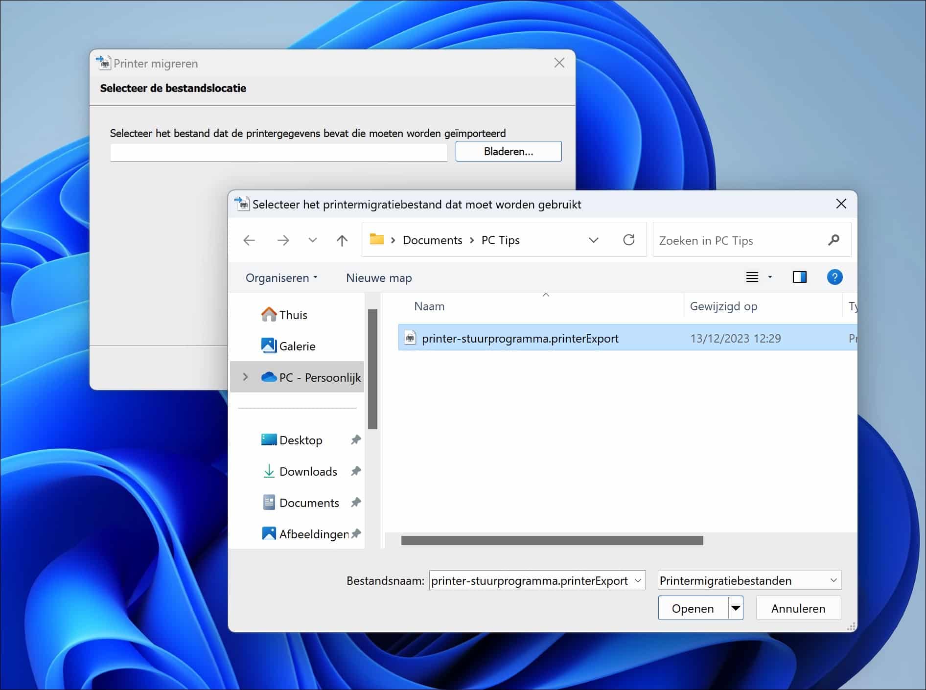 Back-up maken van Printer Stuurprogramma en herstellen