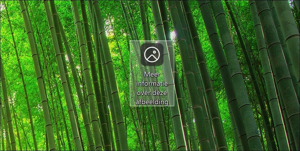 Meer informatie over deze afbeelding in Windows 11 - Wat is het?