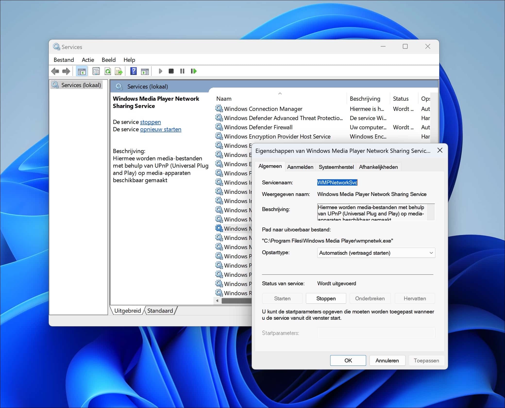 Mediaserver werkt niet in Windows 11