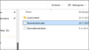 Problemen met Word oplossen door normal.dotm te resetten